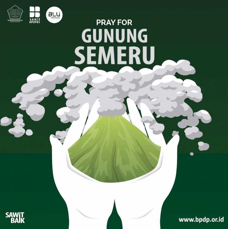 Palm Oil Policies Contribute to SDGs Achievement - BPDP