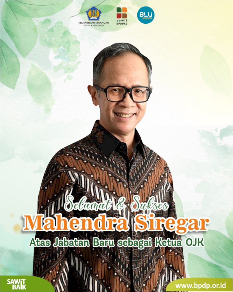 CPO Price Charts - Beranda